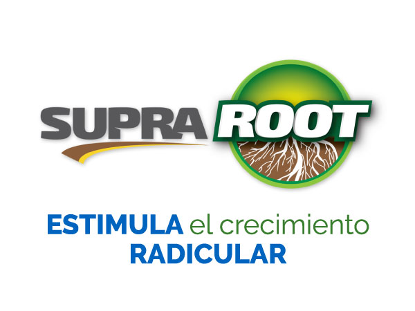 Productos – Arvensis